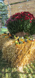 sukkah-flowers | Westchester Reform Temple